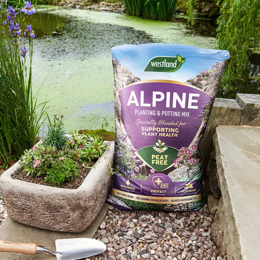 Alpine Planting Mix Peat Free 25L - Stewarts Garden Centre