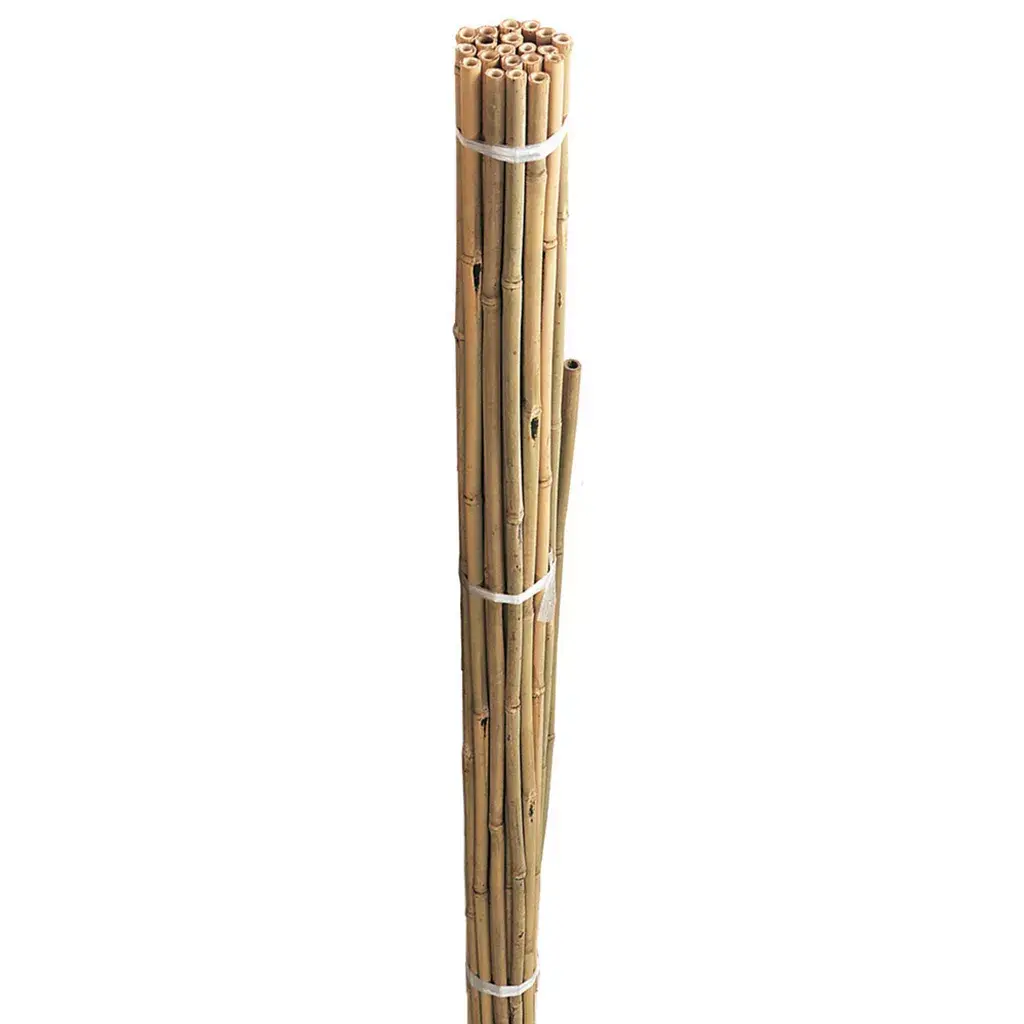 Bamboo Canes 4ft (1.2m) 20 Pack - Stewarts Garden Centre