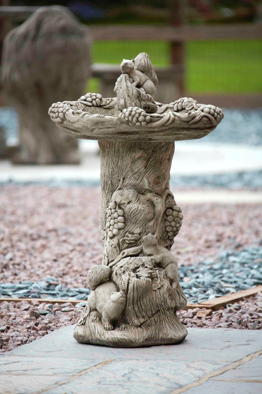 Bird Bath Squirrel - Stewarts Garden Centre