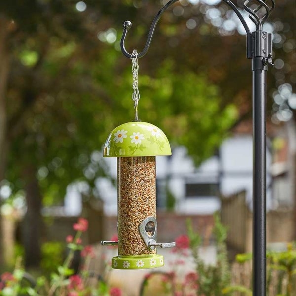 Bird Feeder Flamboya Seed Flowers - Stewarts Garden Centre