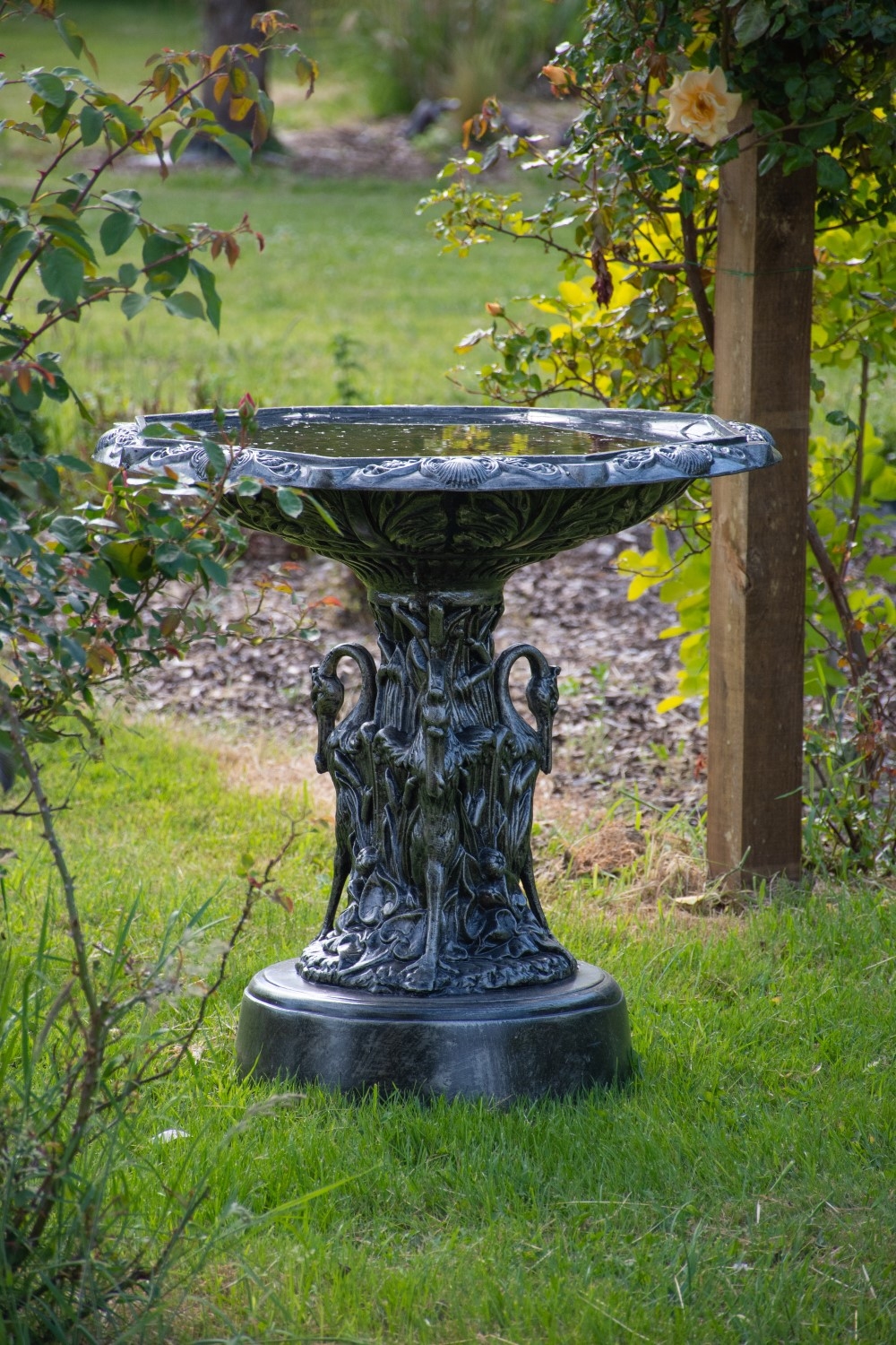 Bird Table/Bath Swan - Stewarts Garden Centre