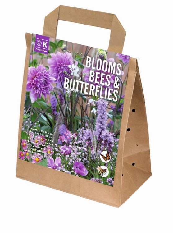 Blooms, Bees & Butterflies Garden Violet-Pink - Stewarts Garden Centre