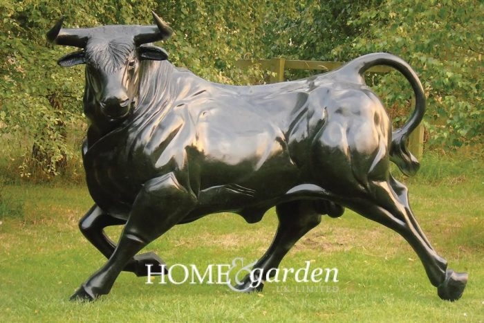 Bull - Stewarts Garden Centre