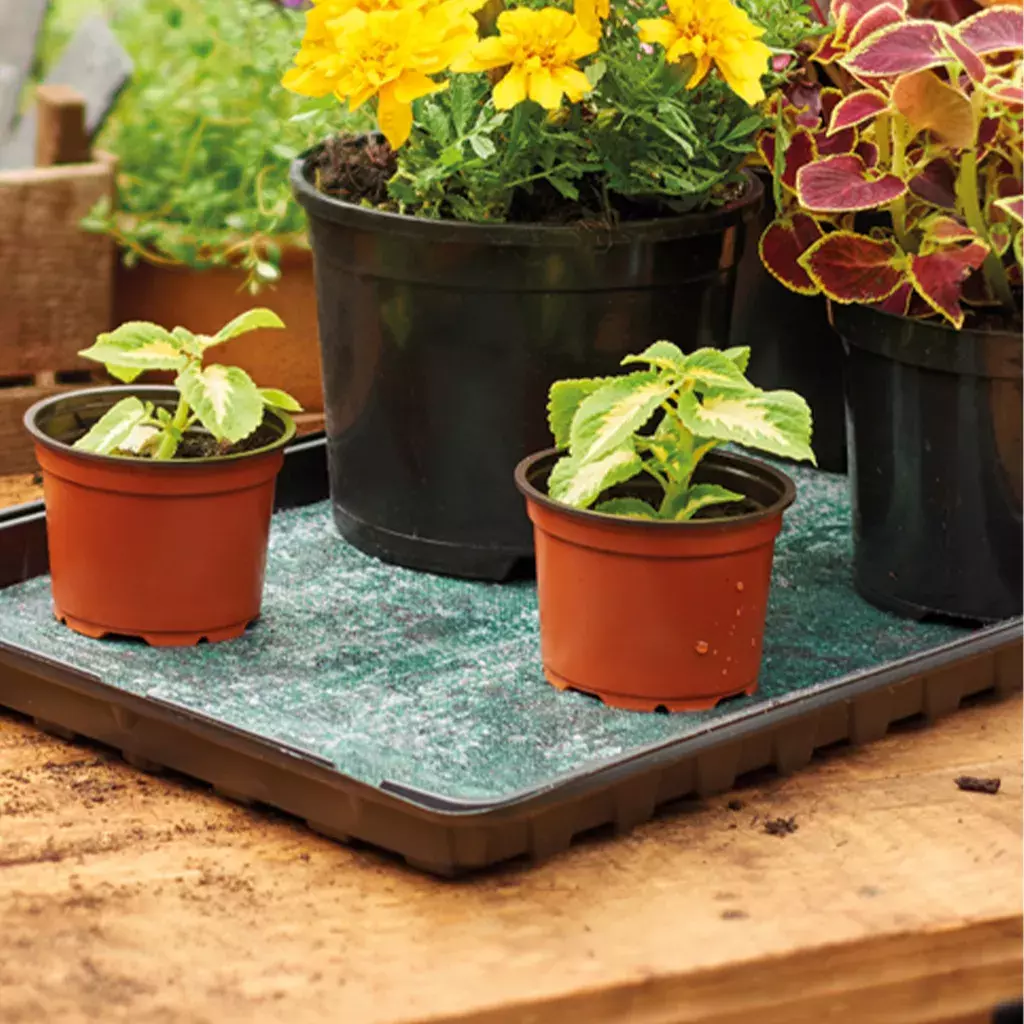Capillary Matting Seed Tray Inserts (5) - Stewarts Garden Centre