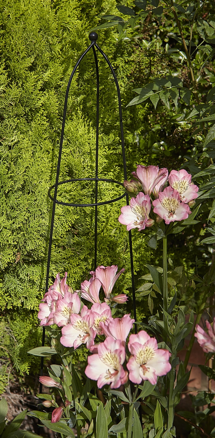 Constable Obelisk 1.4m - Stewarts Garden Centre