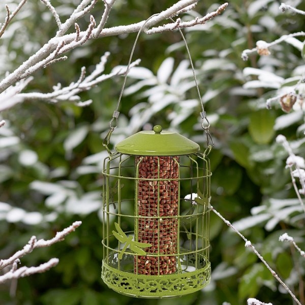 Decor Squirrel Proof Peanut Feeder - Stewarts Garden Centre
