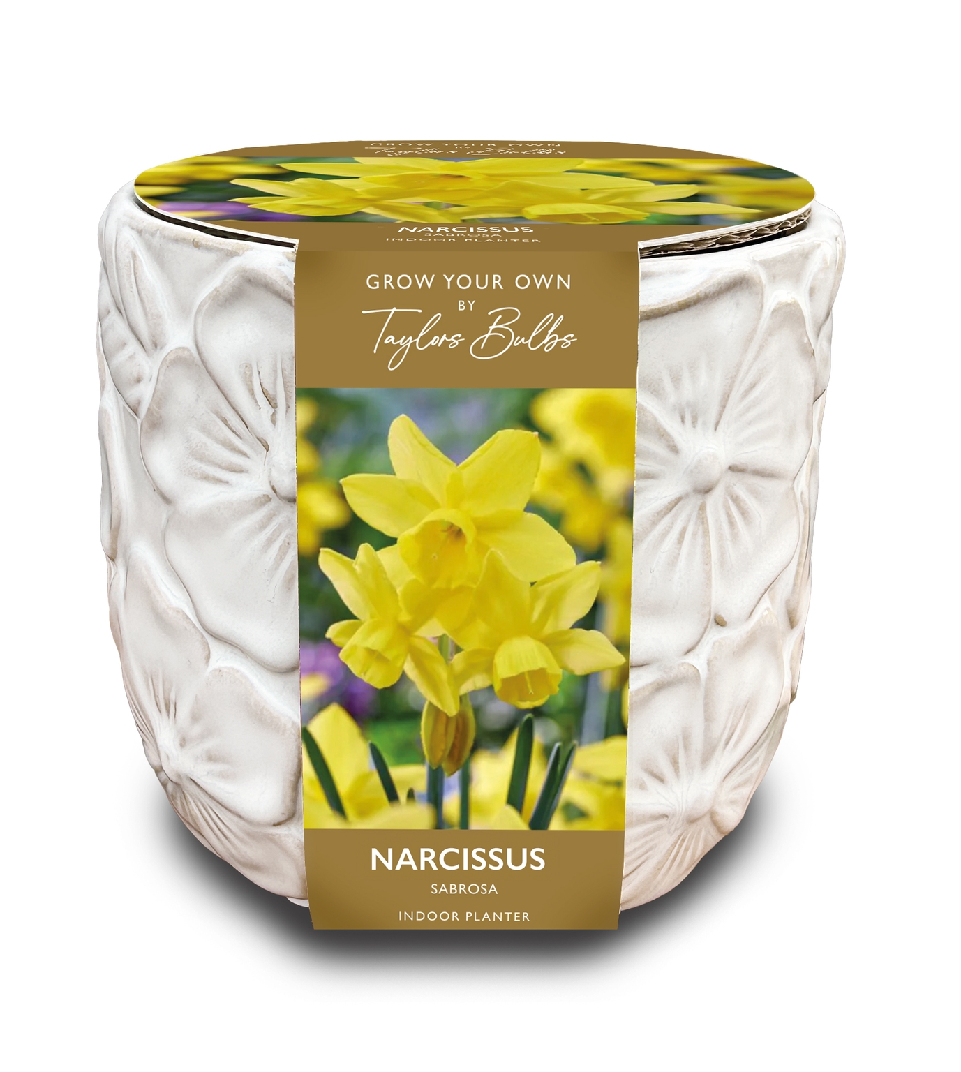 Deluxe Embossed Botanical Planter - Stewarts Garden Centre