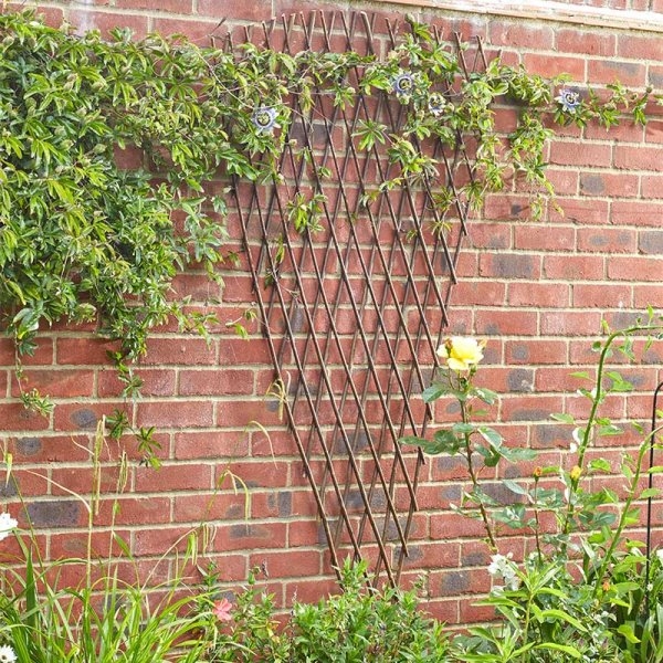 Extra Strong Expanding Fan Willow Trellis 1.8m x 0.9m - Stewarts Garden ...