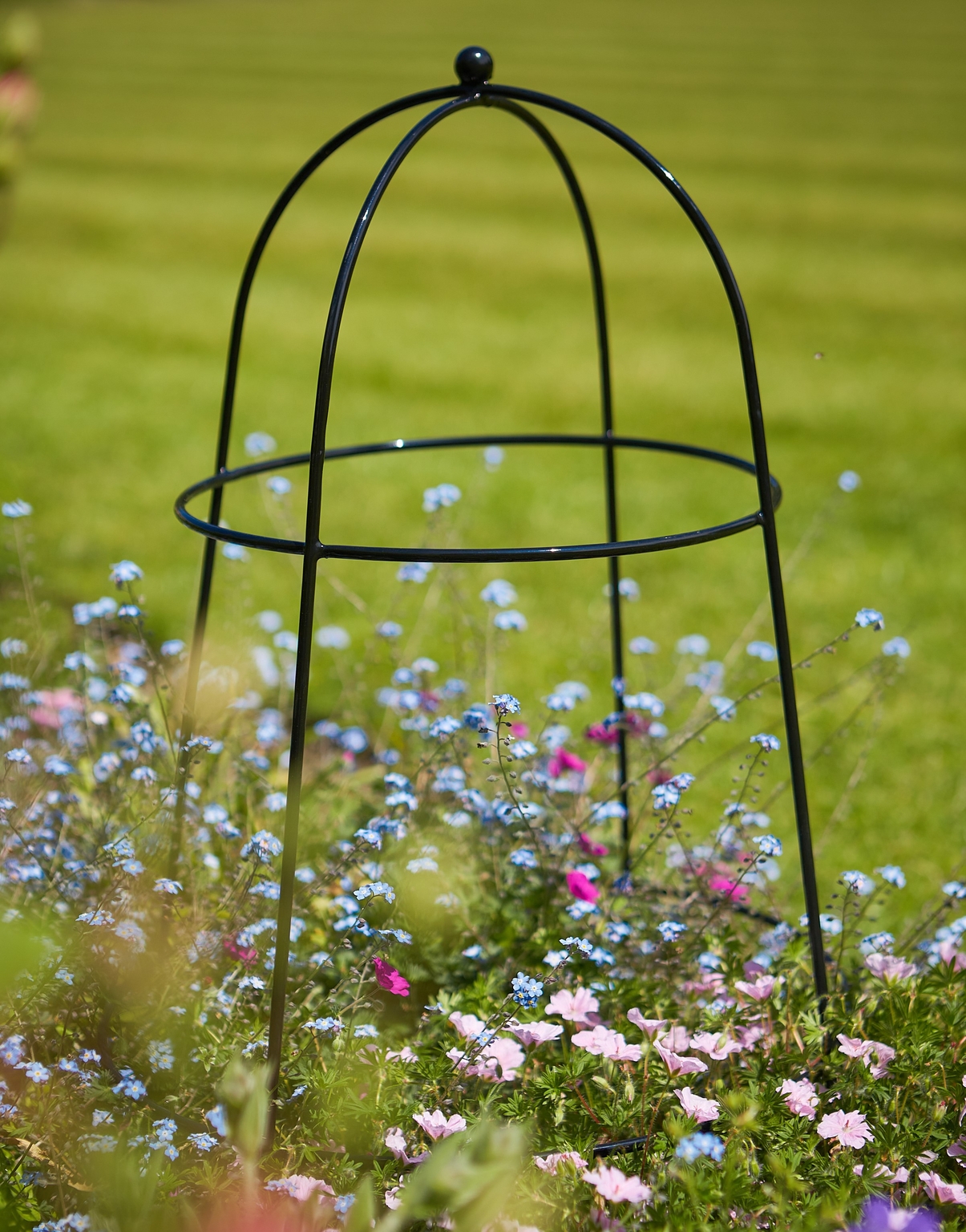 Flower & Plant Cloche Small 70cm - Stewarts Garden Centre