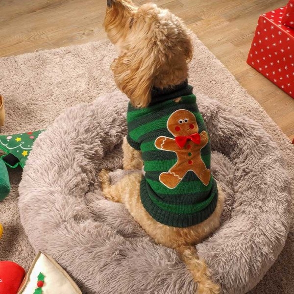 Gingerbread Jumper 30cm - Stewarts Garden Centre