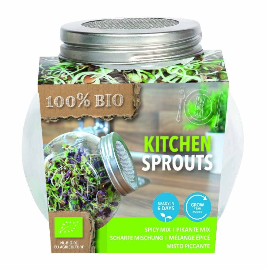 Glass Sprouting Spicy Salad - Stewarts Garden Centre
