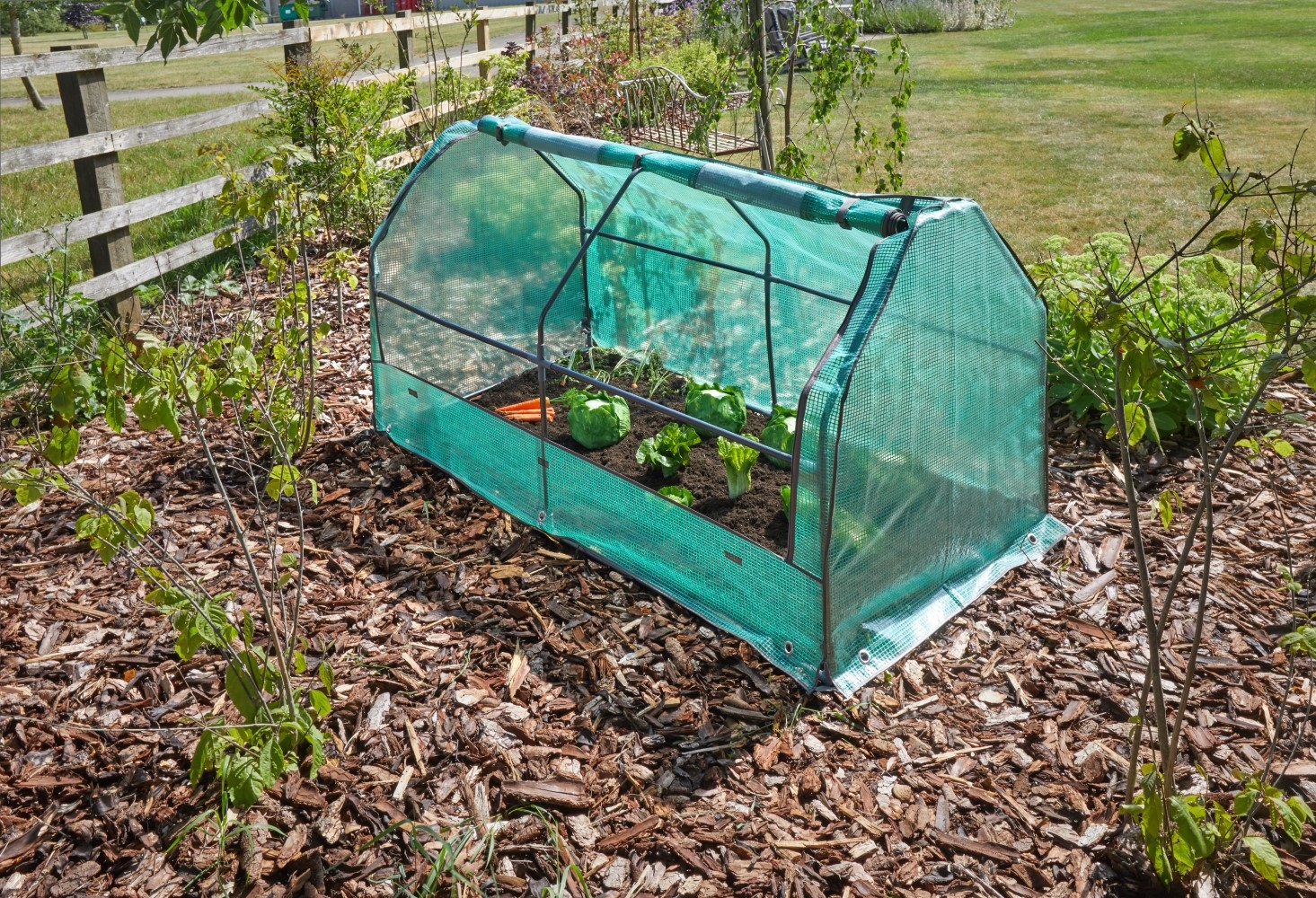 GroZone Max Cloche - Stewarts Garden Centre