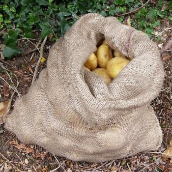 Hessian Potato Sacks Pack/2 - Stewarts Garden Centre