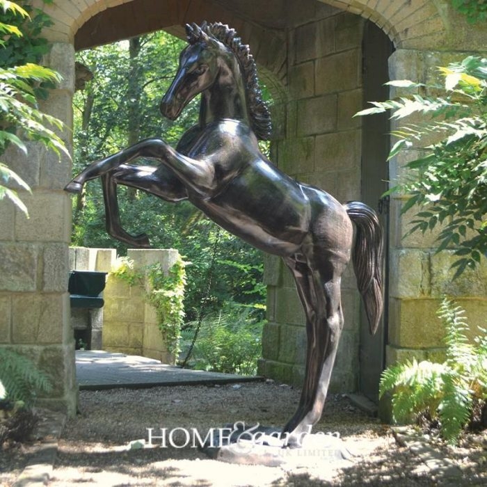 Horse Foal Rearing - Stewarts Garden Centre