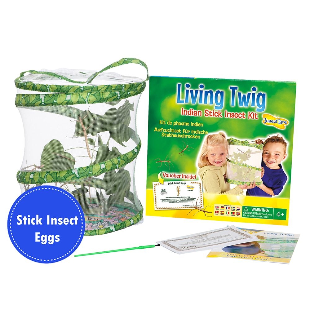 Living Twig Kit - Stewarts Garden Centre