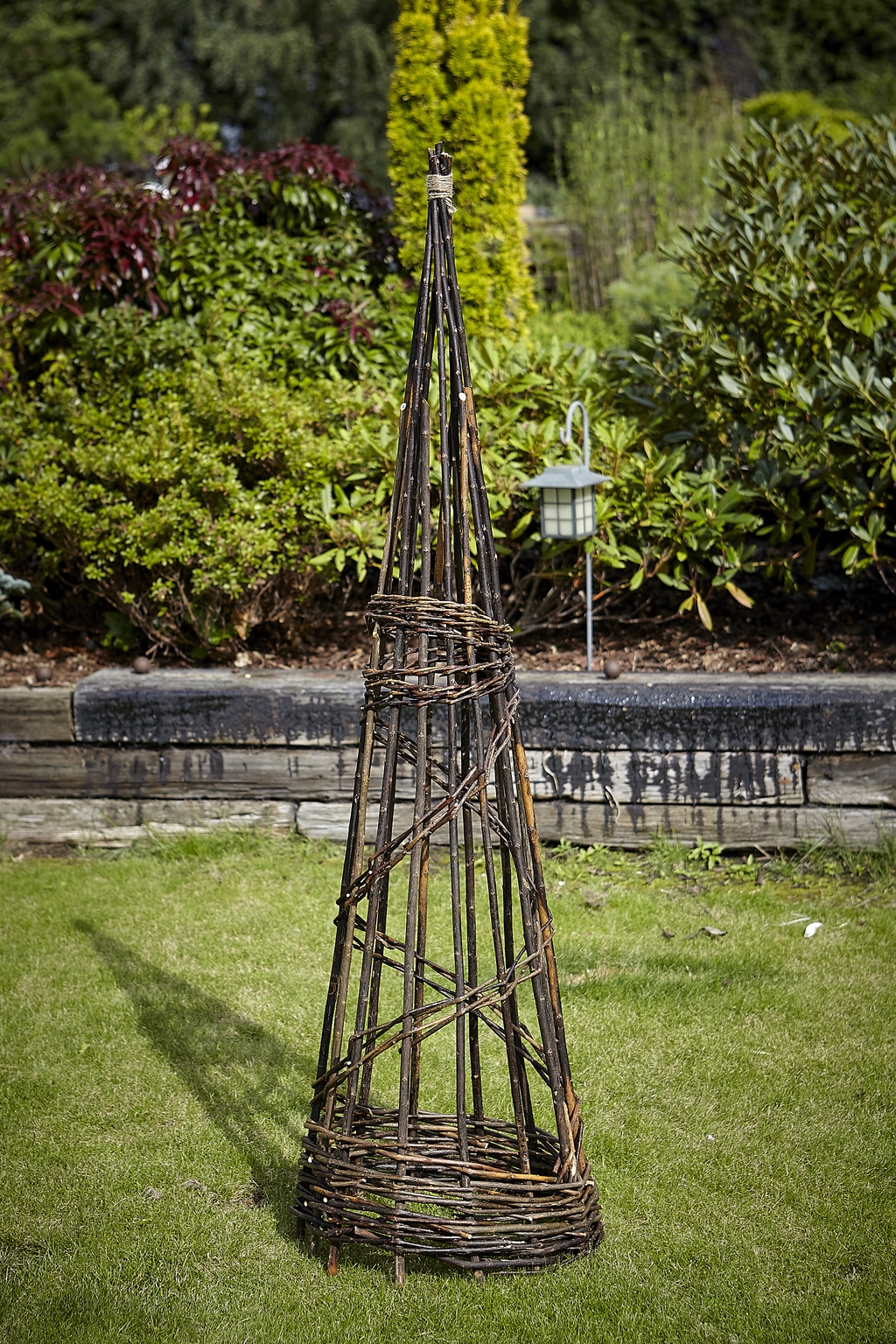 Obelisk Willow Spiral 120cm - Stewarts Garden Centre
