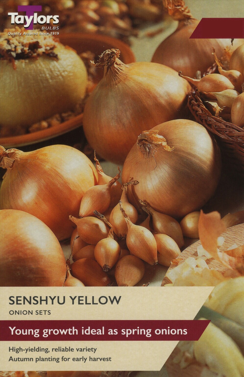Autumn Onion Sets Onion Senshyu Yellow Globe Vegetable Seeds - VIRIDIS ...