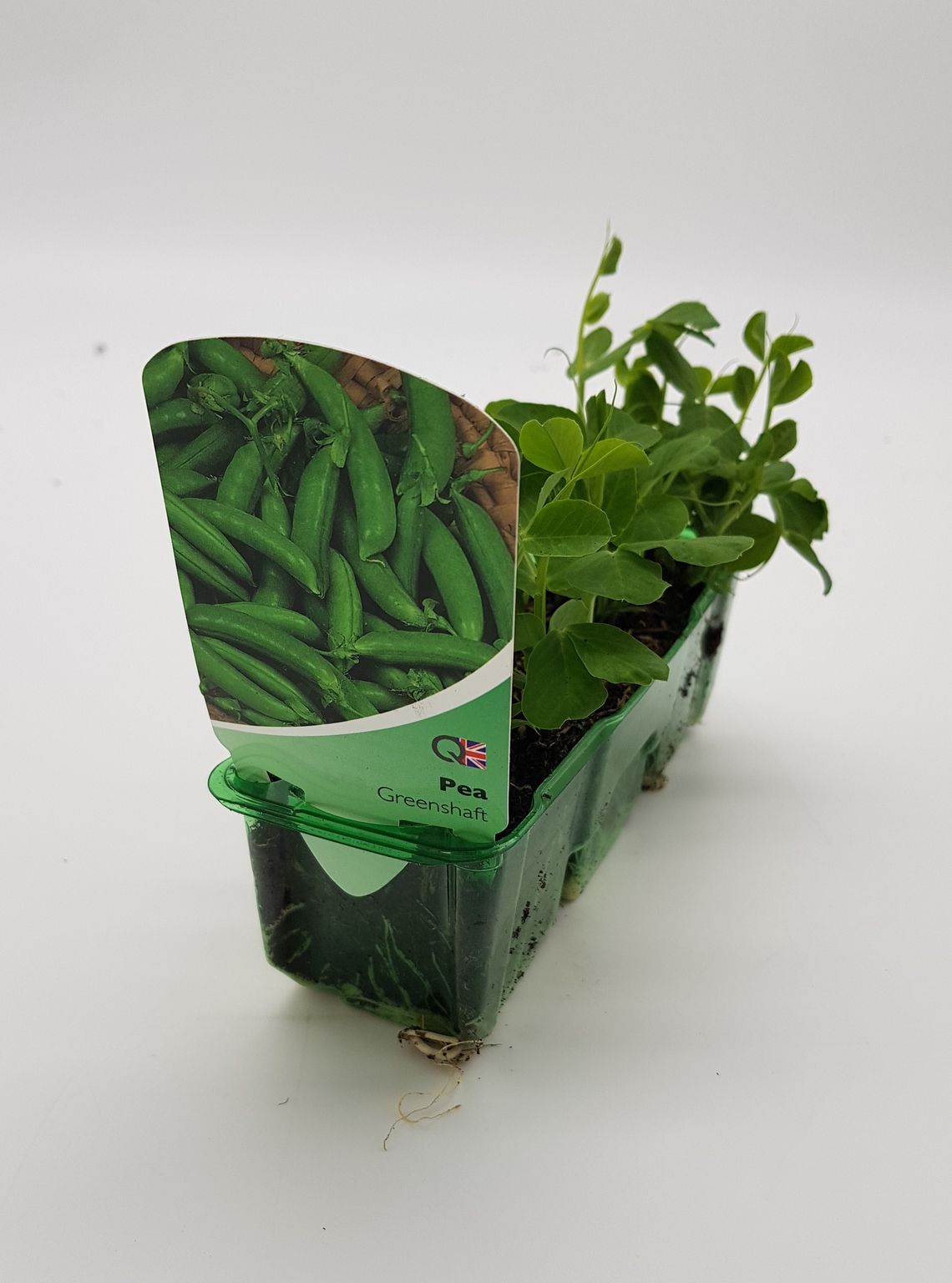 Pea Onward Pack - Stewarts Garden Centre