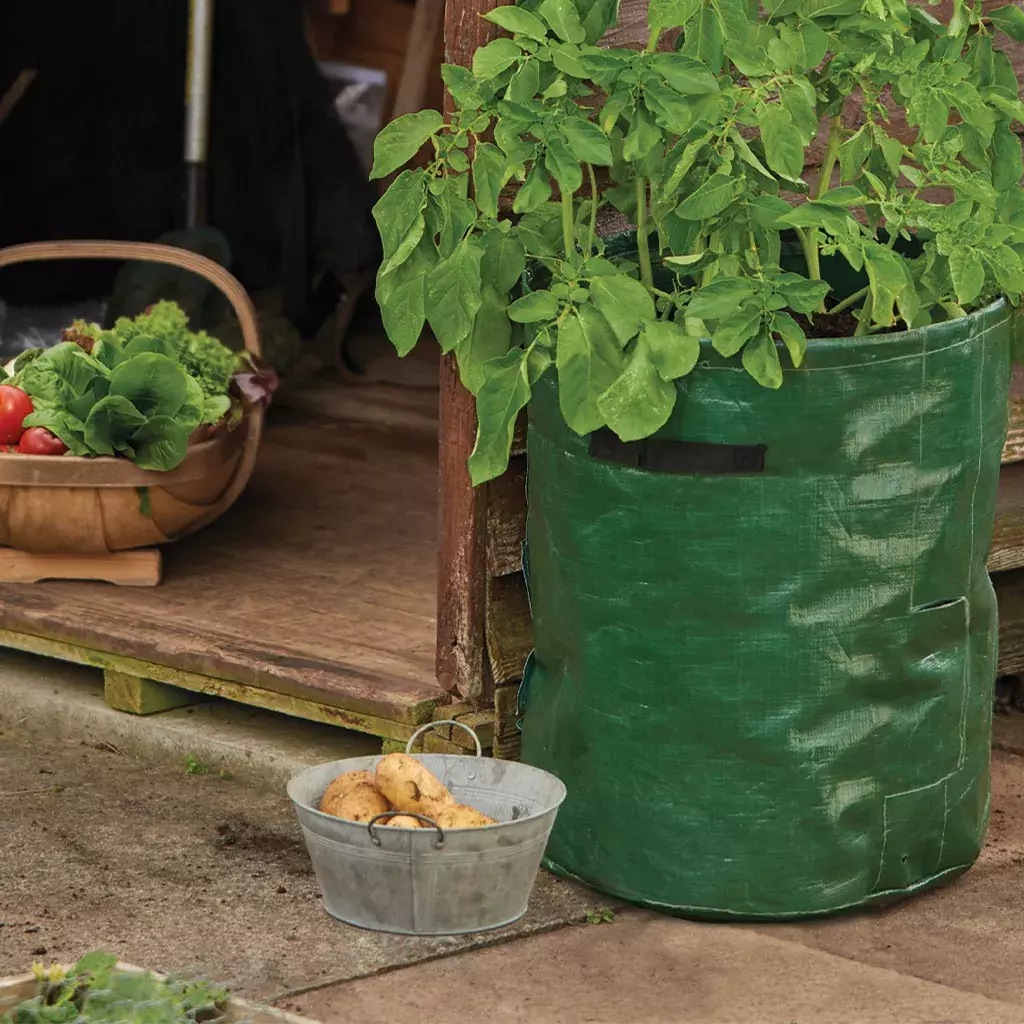 Potato Tubs Twin Pack - Stewarts Garden Centre