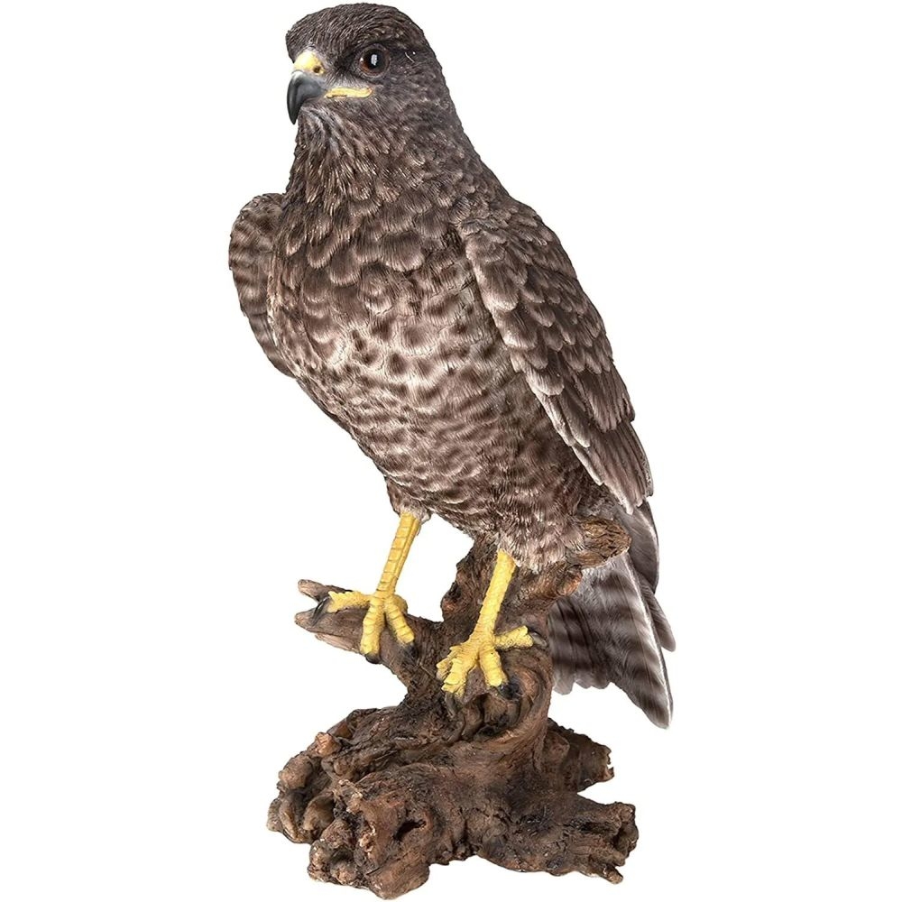 Real Life Common Buzzard - Stewarts Garden Centre