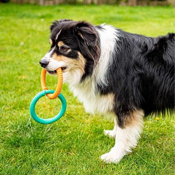 Rubber Dog Links - Stewarts Garden Centre