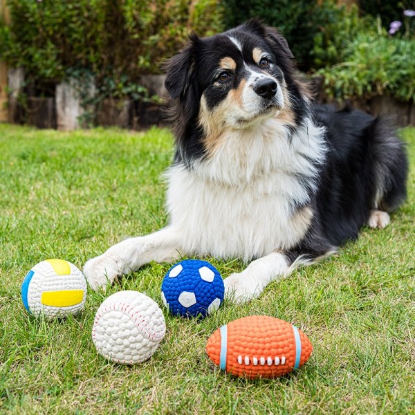 Squeaky 9cm Latex Pooch Ball (4 Designs) - Stewarts Garden Centre