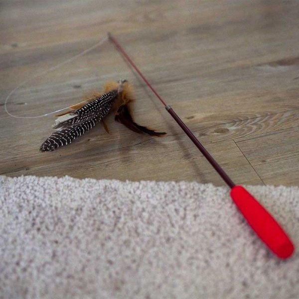 Telescopic Tickle Stick - Stewarts Garden Centre