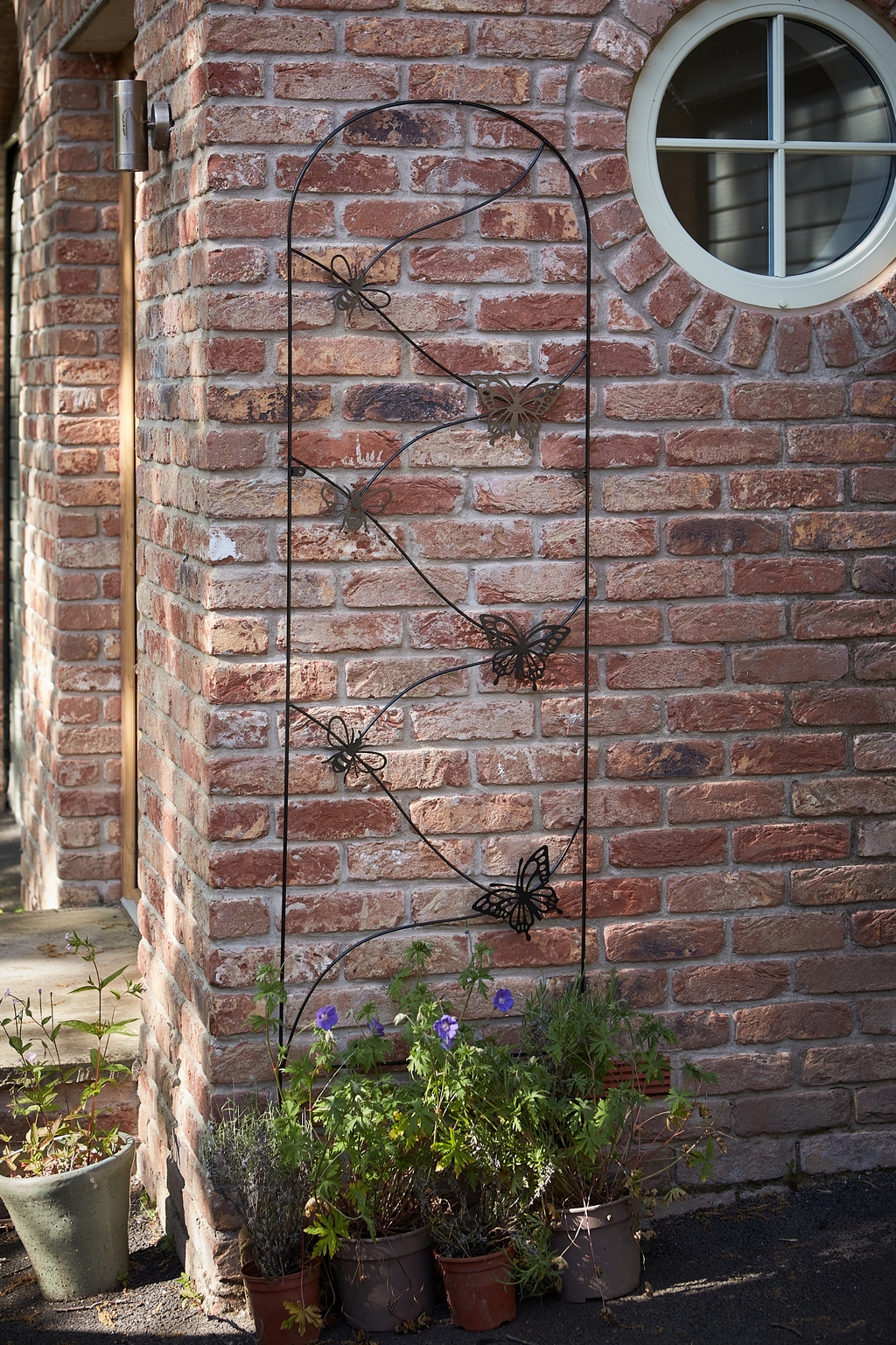 Trellis Metal Butterfly 1.8m - Stewarts Garden Centre