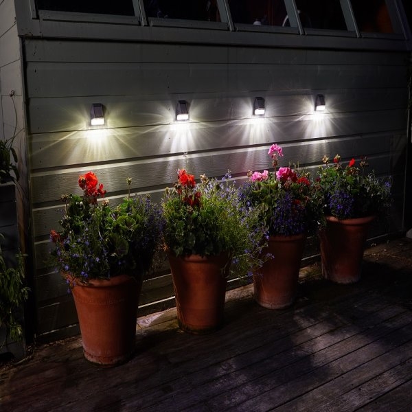 Wall Fence & Post Light 4pk 3L - Stewarts Garden Centre