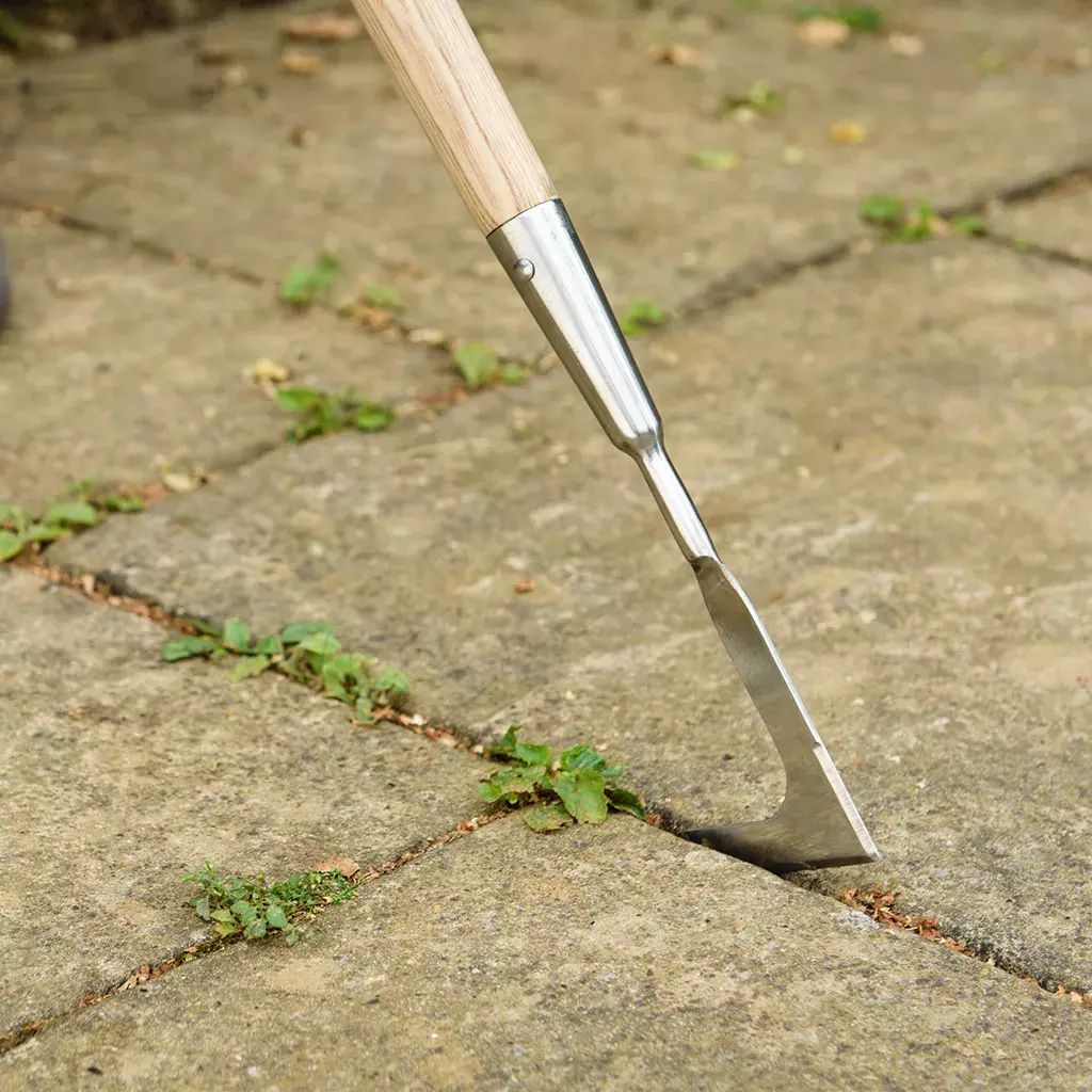Weeding Knife Long Handle stainless Steel - Stewarts Garden Centre
